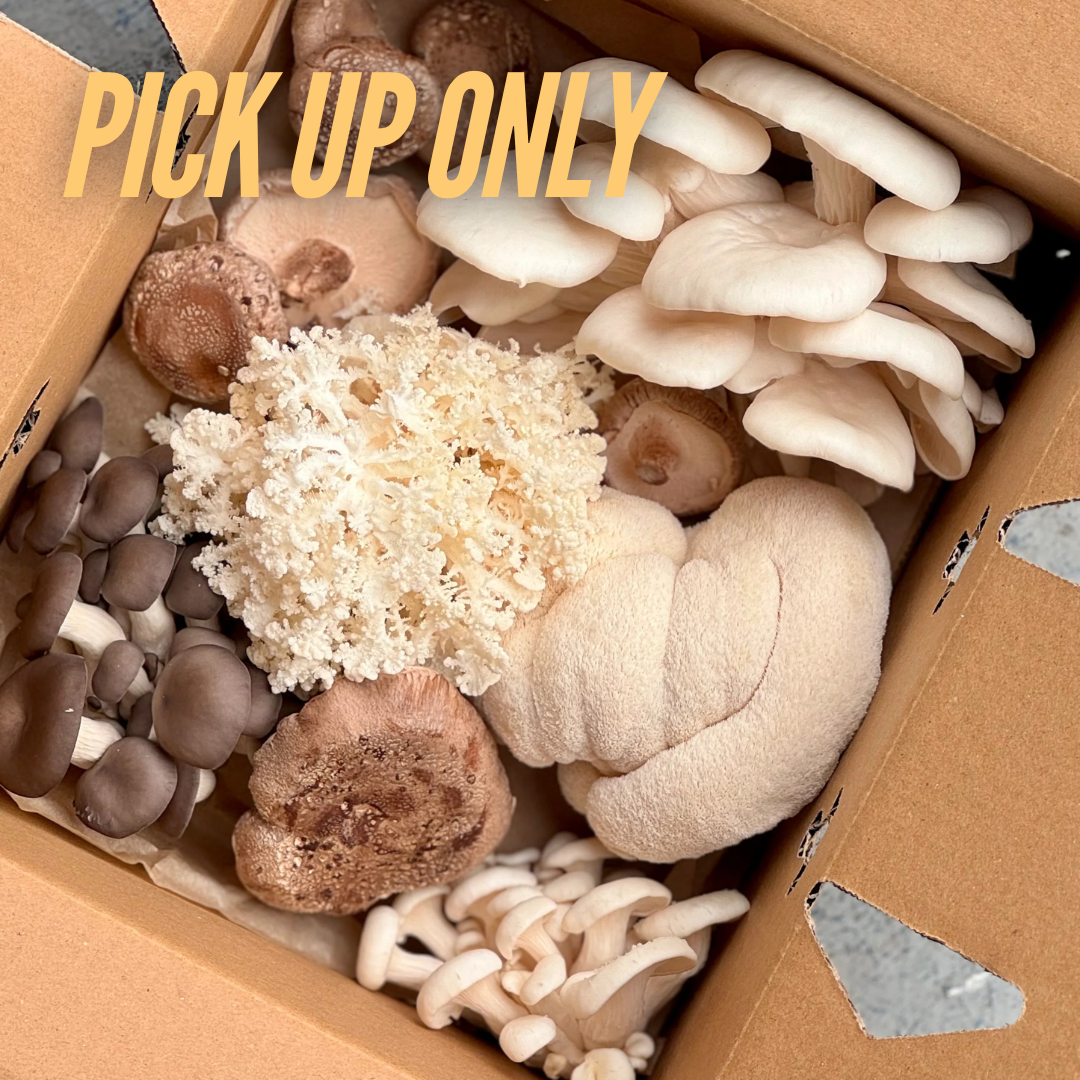 Fresh Mixed Gourmet Mushrooms - 1 Kilo – Urban Valley